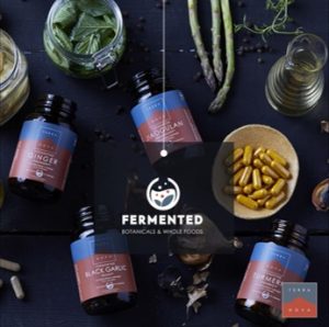 Fermedics – fermentation leaders - TERRANOVA